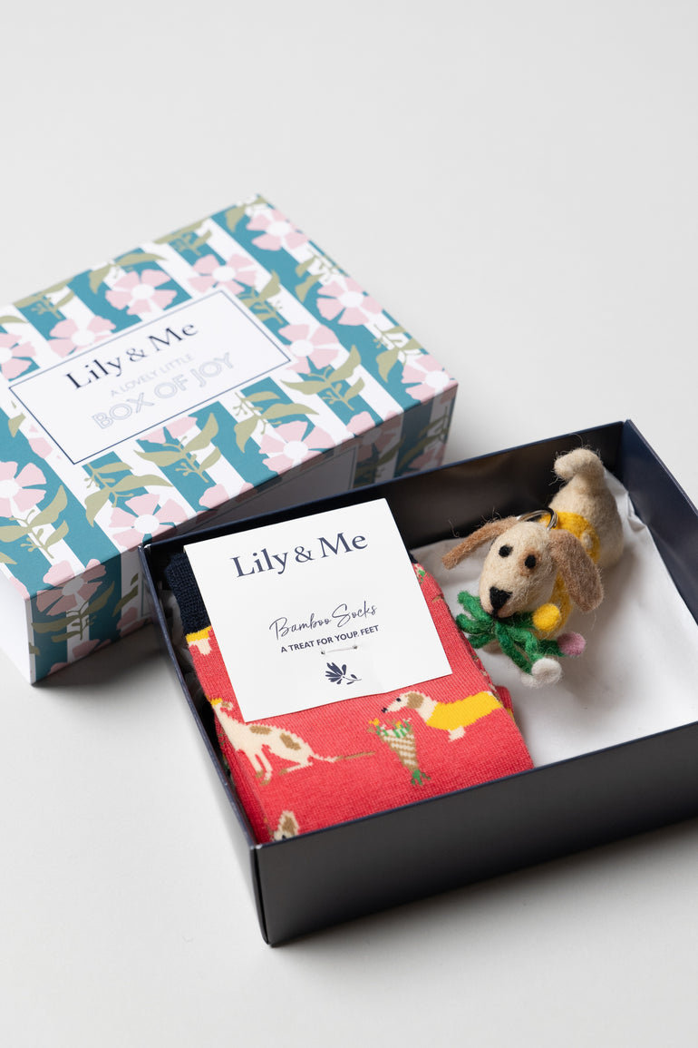 Sale | Clearance | Lily and Me Clothing – Lily & Me
